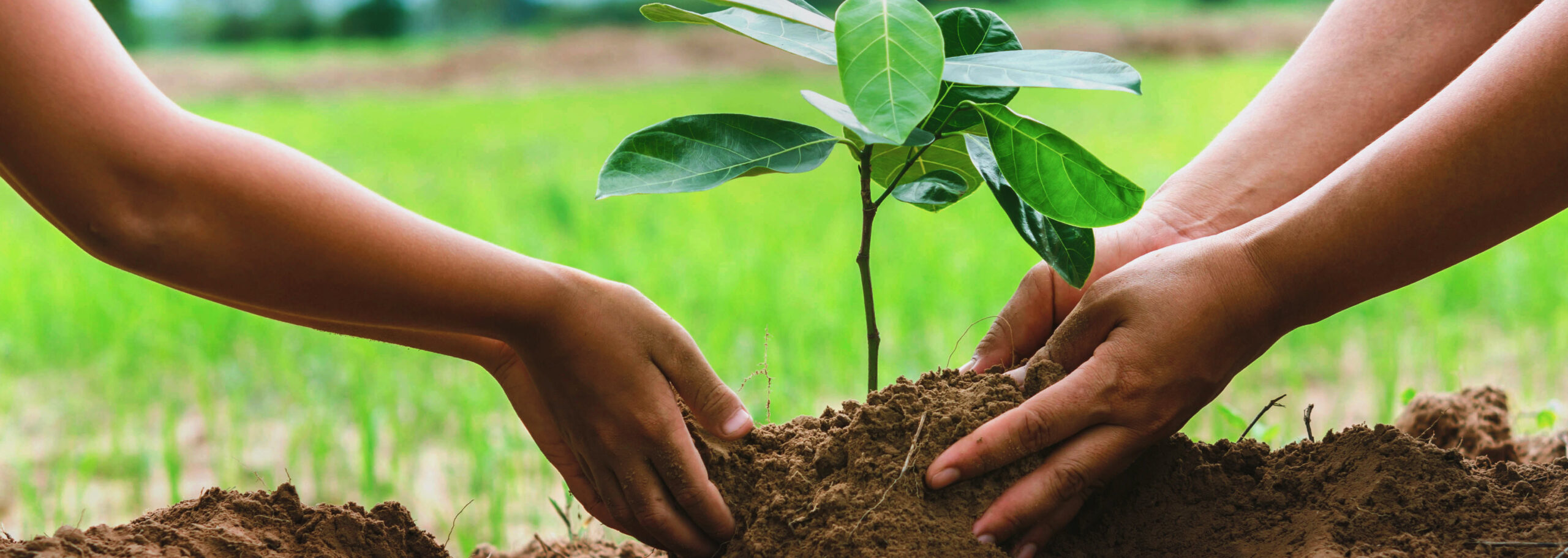 Welcome to Community Health Solutions - Community Health Solutions